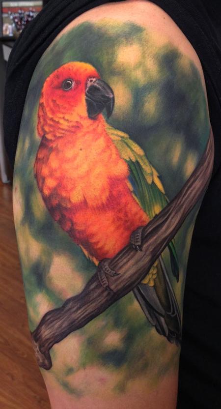Sun conure tattoo - Bronctattooaus.com