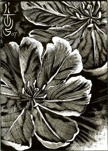 SCRATCHBOARD FLOWER ! by LITOS : Original Art